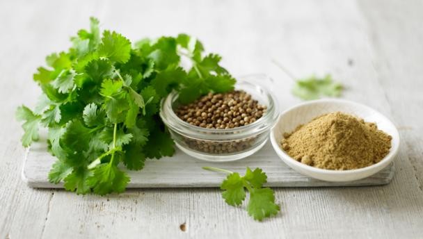 Coriander perfume, Coriander fragrance, Coriander essential oils ...